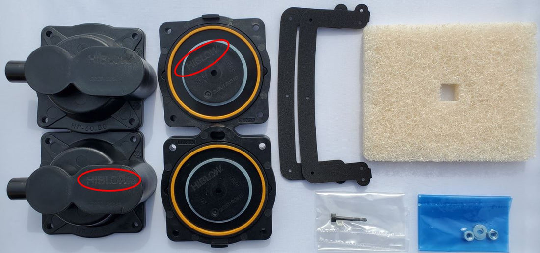 HP-60/80 Repair Kit with Cover Gasket – HIBLOW USA